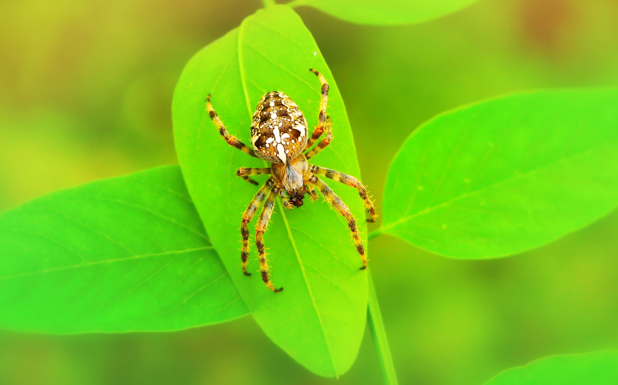Fear Factor Part 1 - Shirley Nightingale Writes
